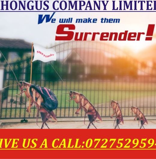 About Us – Khongus Company Limited